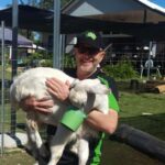 Alpaca Feeding with Wildlife & Nature Park VIP Private Tour - The Practicalities and Value