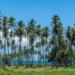 Amazing attractions of Tahiti charming island  Private half day circle tour - The Balance of Cost and Experience