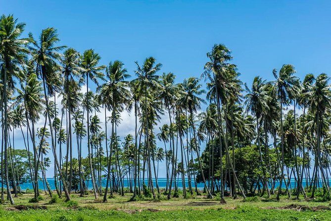 Amazing attractions of Tahiti charming island  Private half day circle tour - The Balance of Cost and Experience
