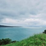 Amazing Auckland City Half Day Guided Tour - The Practical Details: What to Expect