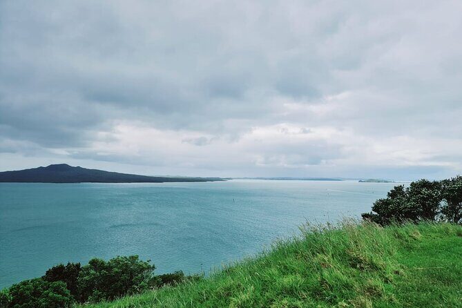 Amazing Auckland City Half Day Guided Tour - The Practical Details: What to Expect