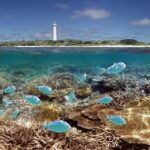 Amedee Lighthouse - Exploring the Island and Cultural Show