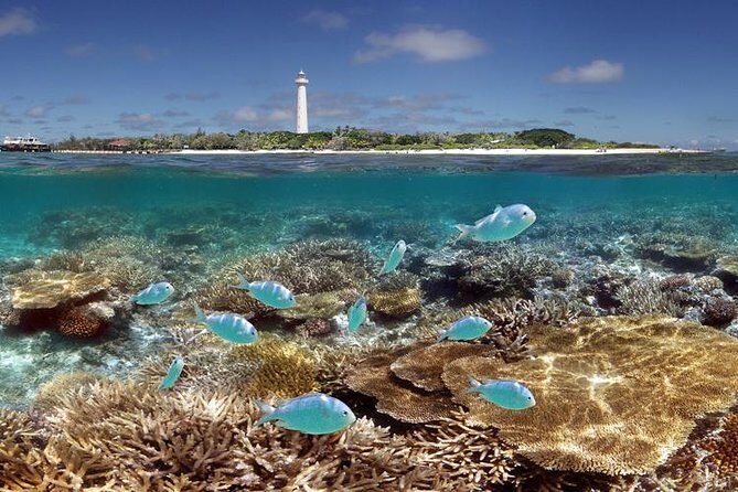 Amedee Lighthouse - Exploring the Island and Cultural Show