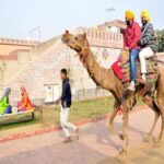 Amritsar: Evening Tour to Sadda Pind with Dinner - Final Thoughts