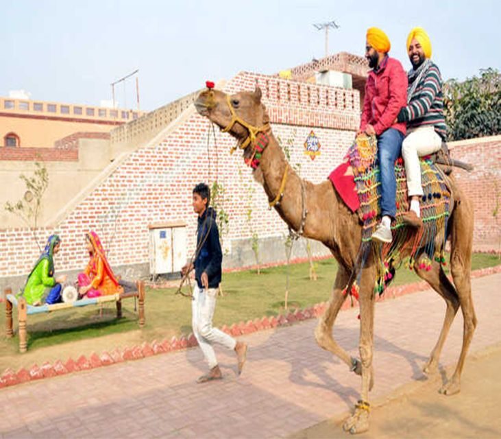Amritsar: Evening Tour to Sadda Pind with Dinner - Final Thoughts