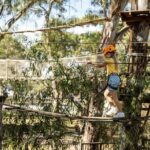 An exciting, Tree Top Adventure for Our Littlest Adventurers - What to Expect on the Course