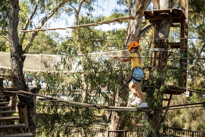 An exciting, Tree Top Adventure for Our Littlest Adventurers - What to Expect on the Course
