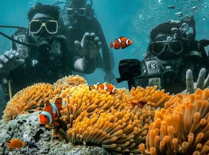 Andaman Islands: Scuba Diving Tour - What to Expect on the Tour