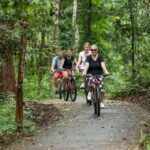 Angkor Jungle Biking Adventure Private Cycling Tour - Value and Practical Considerations
