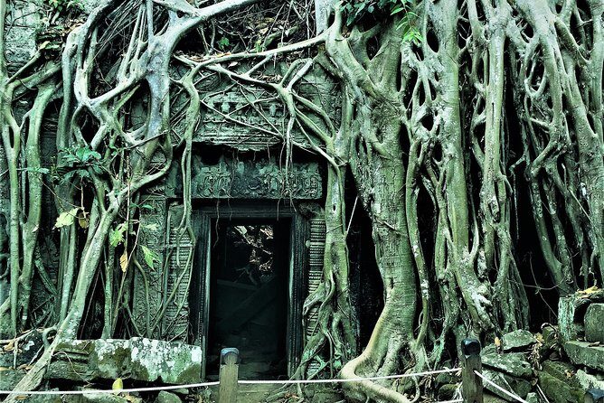 Angkor Wat sunrise Bayon Ta Prohm by Shared Tour. - Watching the Sunrise at Angkor Wat