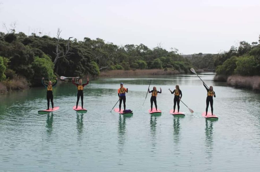 Anglesea: Stand-Up Paddleboard Lesson on the River - A Typical Itinerary