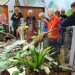 Animals of Aotearoa Wellington Zoo Tour - The Sum Up: Is It Worth It?
