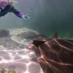 Anna Bay: Irukandji Entry + Coastal Currents Snorkel - The Breakdown: What to Expect