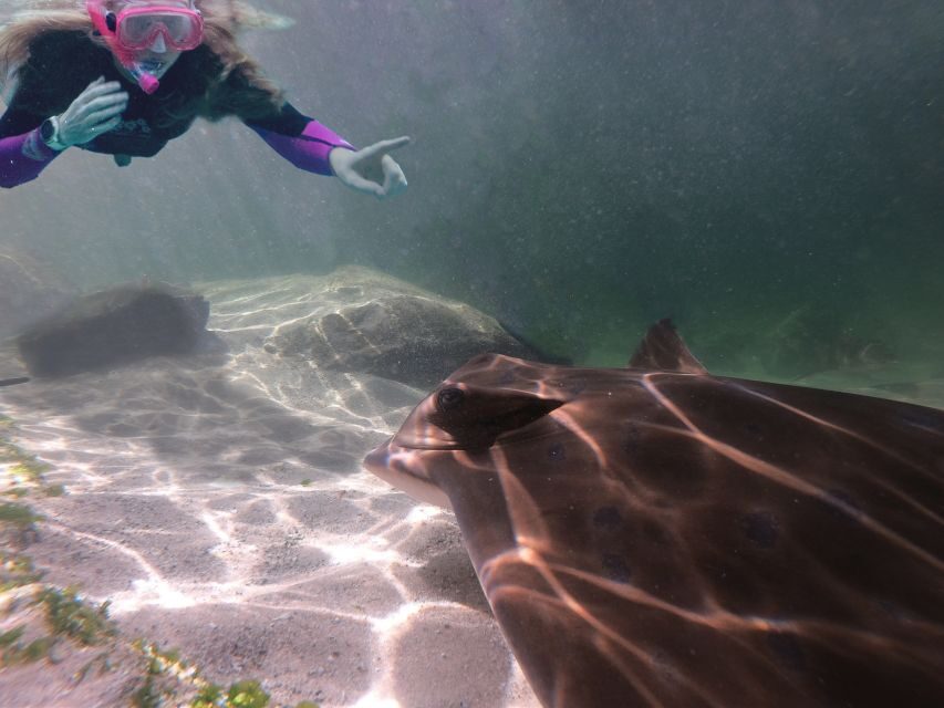 Anna Bay: Irukandji Entry + Coastal Currents Snorkel - The Breakdown: What to Expect