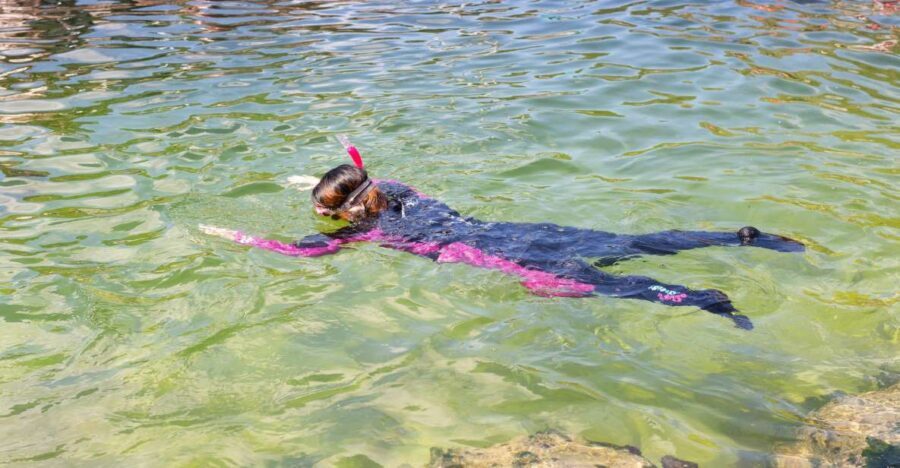 Anna Bay: Irukandji Entry Pass with Reef Shark Snorkel - The Value of the Experience
