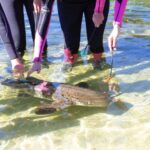 Anna Bay: Irukandji Entry Pass with Zebra Shark Encounter - The Itinerary and What to Expect