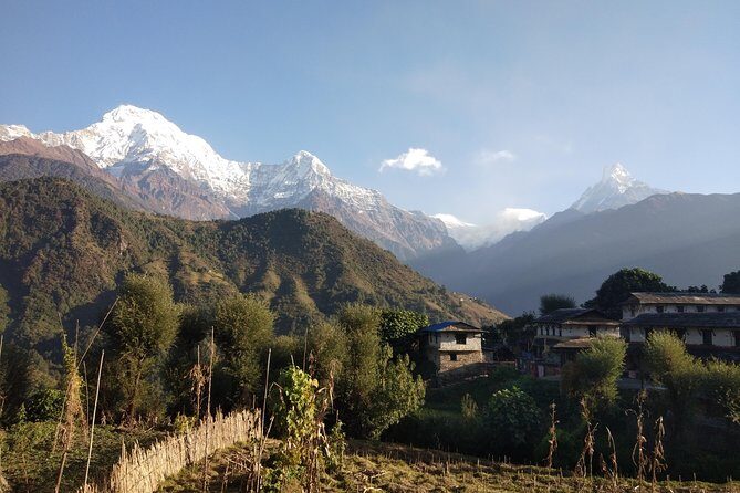 Annapurna Base Camp Private Guided Trek - Authentic Insights from Travelers