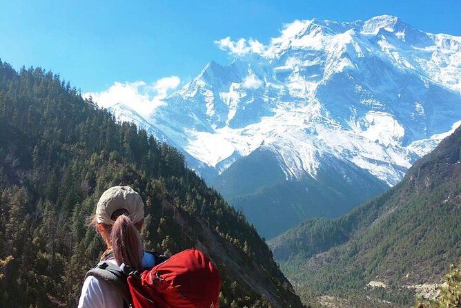 Annapurna Base Camp Trekking - Experience Highlights and Considerations