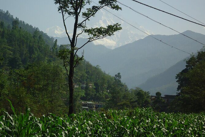 Annapurna Ghandruk village Trek - Transportation and Logistics: Why They Matter