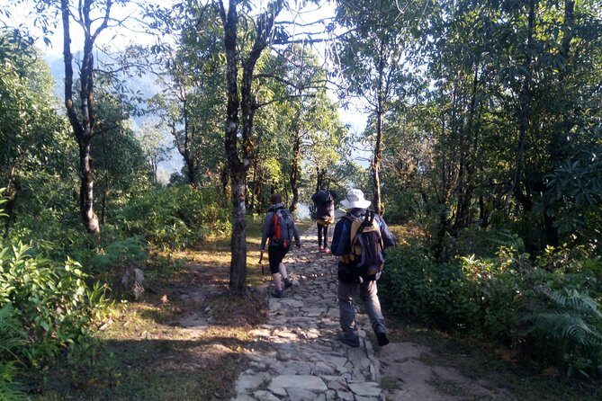 Annapurna Sunrise Trek - The Sunrise at Poon Hill: A Highlight