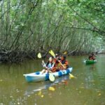Ao Nang: Kayak Tour in Krabi Mangrove Forest with Lunch - What to Expect on the Kayak Tour