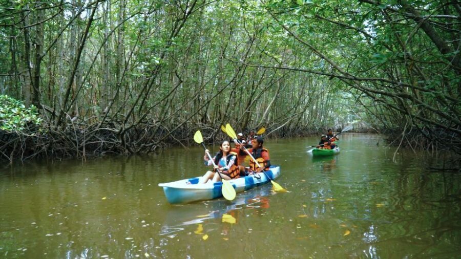 Ao Nang: Kayak Tour in Krabi Mangrove Forest with Lunch - What to Expect on the Kayak Tour