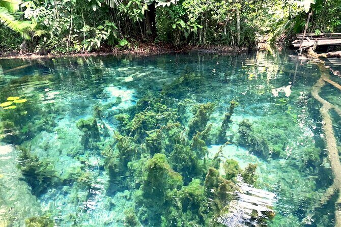 Ao Nang Kayaking at Klong Rud with Hotel Transfer - The Experience and Value