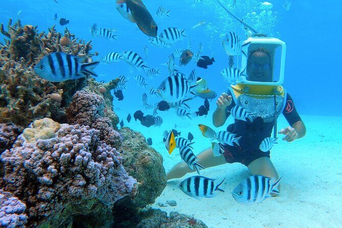 Aqua Safari Introductory Helmet Dive (Underwater Walk) - What Makes This Tour Special?