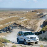 Aral Sea One Day Trip from Nukus. - What Makes This Tour Stand Out?