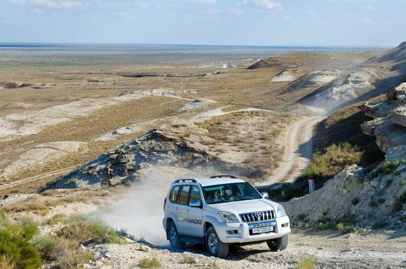 Aral Sea One Day Trip from Nukus. - What Makes This Tour Stand Out?