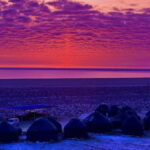 Aral Sea Tour from Nukus 1 night / 2 days - What Makes This Tour Stand Out
