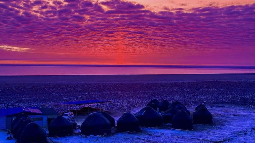 Aral Sea Tour from Nukus 1 night / 2 days - What Makes This Tour Stand Out