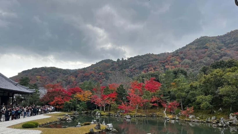 Arashiyama/Tenryu-ji Temple Guided Tour - Why This Tour Is a Great Value