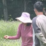Arataki Conservation - our Journey to Protect our Whenua (land) - Who Will Enjoy This Tour?