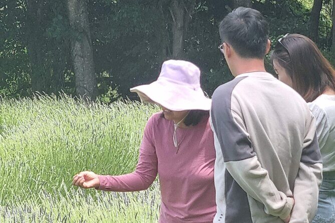 Arataki Conservation - our Journey to Protect our Whenua (land) - Who Will Enjoy This Tour?