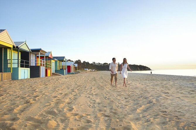Around the Bay Food and Wine Taste Trail - A Practical Breakdown of the Itinerary
