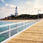 Around the Bay Sightseeing and Bay Cruise - Transportation and Group Dynamics