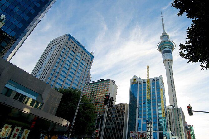 Arrival Private Transfer from Auckland Airport AKL to Auckland in Luxury Van - Who Should Consider This Service?