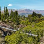 Arrowtown Electric Bike Hire - Who Should Consider This Experience?
