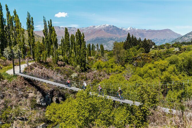 Arrowtown Electric Bike Hire - Who Should Consider This Experience?
