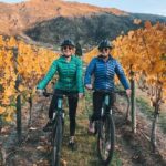 Arrowtown to Gibbston: Full-Day Bike & Wine Tour - An In-Depth Look at the Full-Day Bike & Wine Experience
