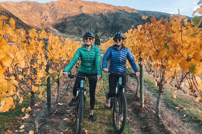 Arrowtown to Gibbston: Full-Day Bike & Wine Tour - An In-Depth Look at the Full-Day Bike & Wine Experience