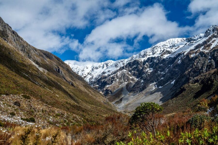 Arthur's Pass Day Tour From Christchurch with TranzAlpine - The Value and Practicality of This Tour