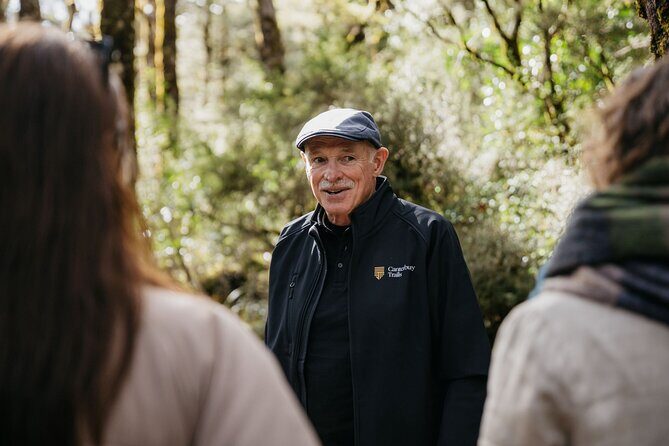 Arthur's Pass Discovery and TranzAlpine Train - Small Group Tour - Arriving at Arthur’s Pass and the Guided Tour