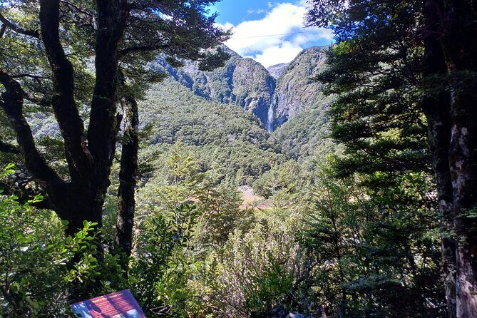 Arthurs Pass with Optional TranzAlpine Train - A Closer Look at the Itinerary