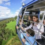 Arthurs Seat Eagle: Scenic Gondola Ride - Key Points