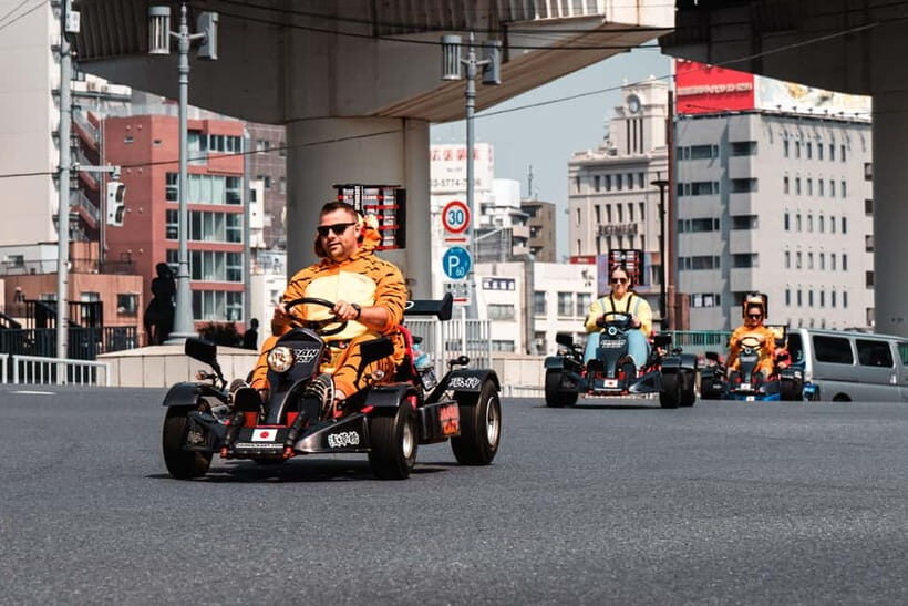 Asakusa/Tokyo Bay & Akihabara Go Karting Tours - Who Should Consider This Tour?