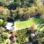 Ashcombe Maze & Lavender Gardens - Who Would Enjoy This Tour?