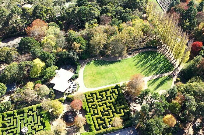 Ashcombe Maze & Lavender Gardens - Who Would Enjoy This Tour?