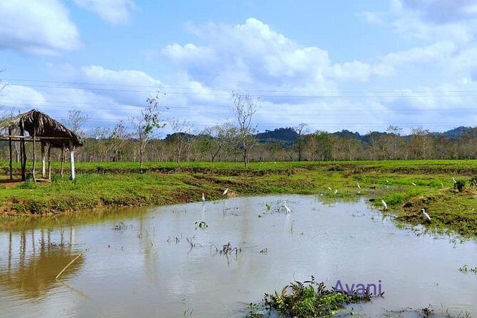 Assam Tea Tour, Wildlife, Tribal village & Tea Bungalow stay 2 Nights 3 Days - Who Should Consider This Tour?